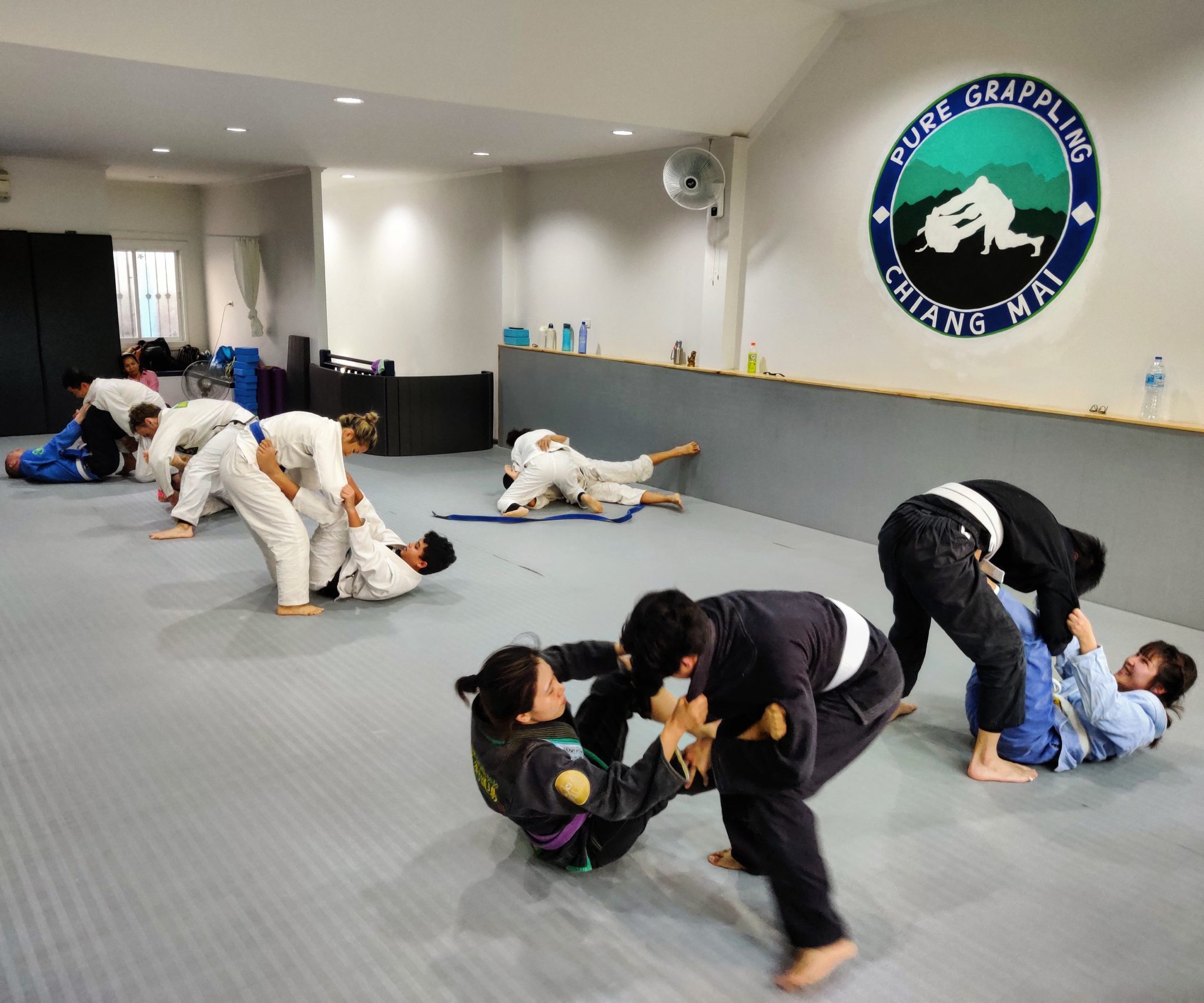 Adult – Pure Grappling Jiu-Jitsu & Yoga School