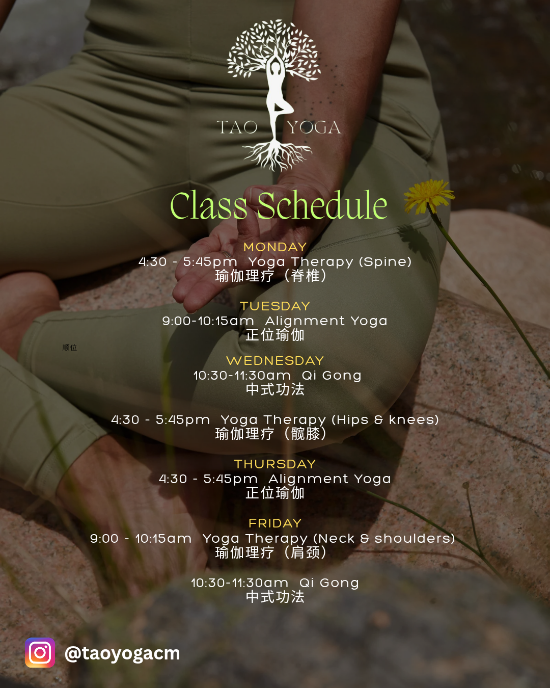 Yoga – Pure Grappling Jiu-Jitsu & Yoga School
